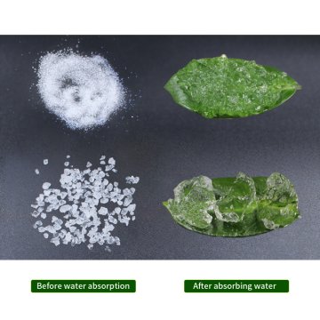 Super Absorbent Polymers (SAP): Types, Uses, and Benefits (2025 Guide)